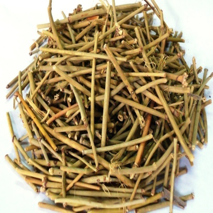 Ephedra Stem Manufacturer, Exporter, Wholesale Supplier / Wholesaler in ...