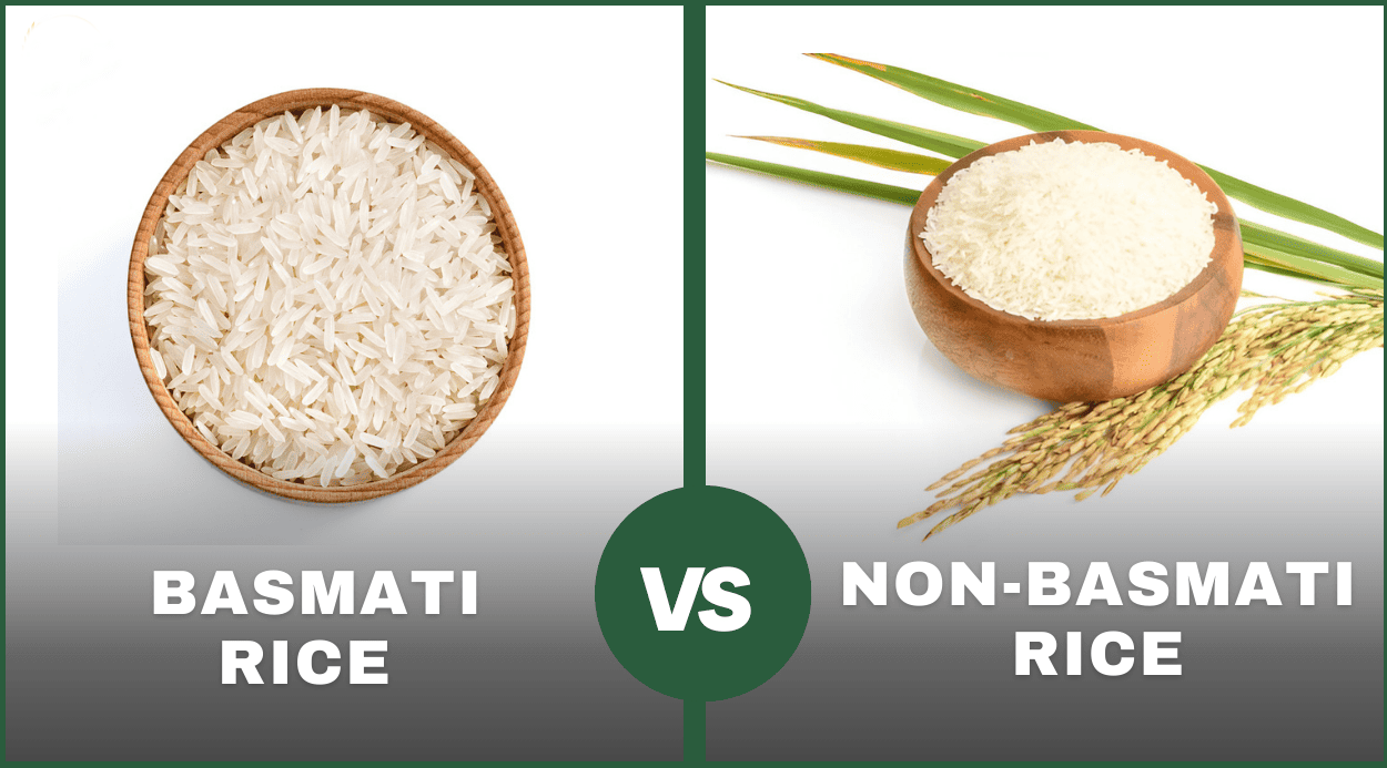 Basmati vs Non-Basmati Rice: Key Differences, Buying Guide & Demand